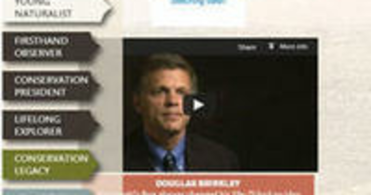 Fixed Positioning Of Page Elements While Scrolling Mugo Web