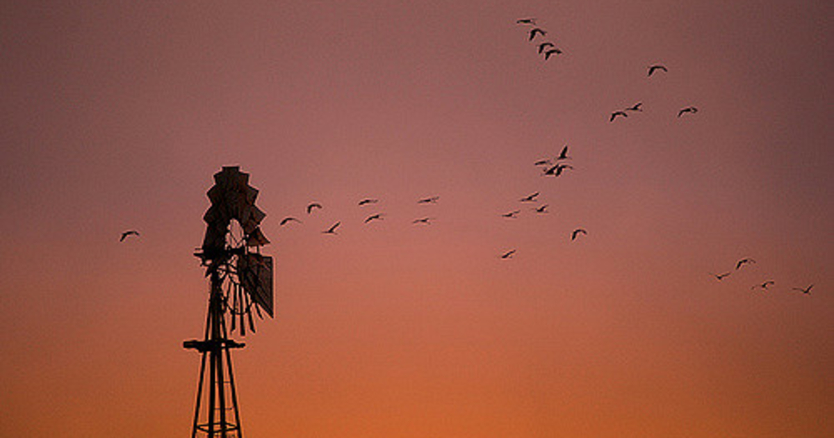 How Publishers Can Benefit From A Wordpress To Ez Publish Migration